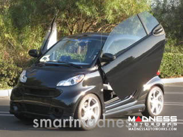 2008 Custom smart car white & black - Customization